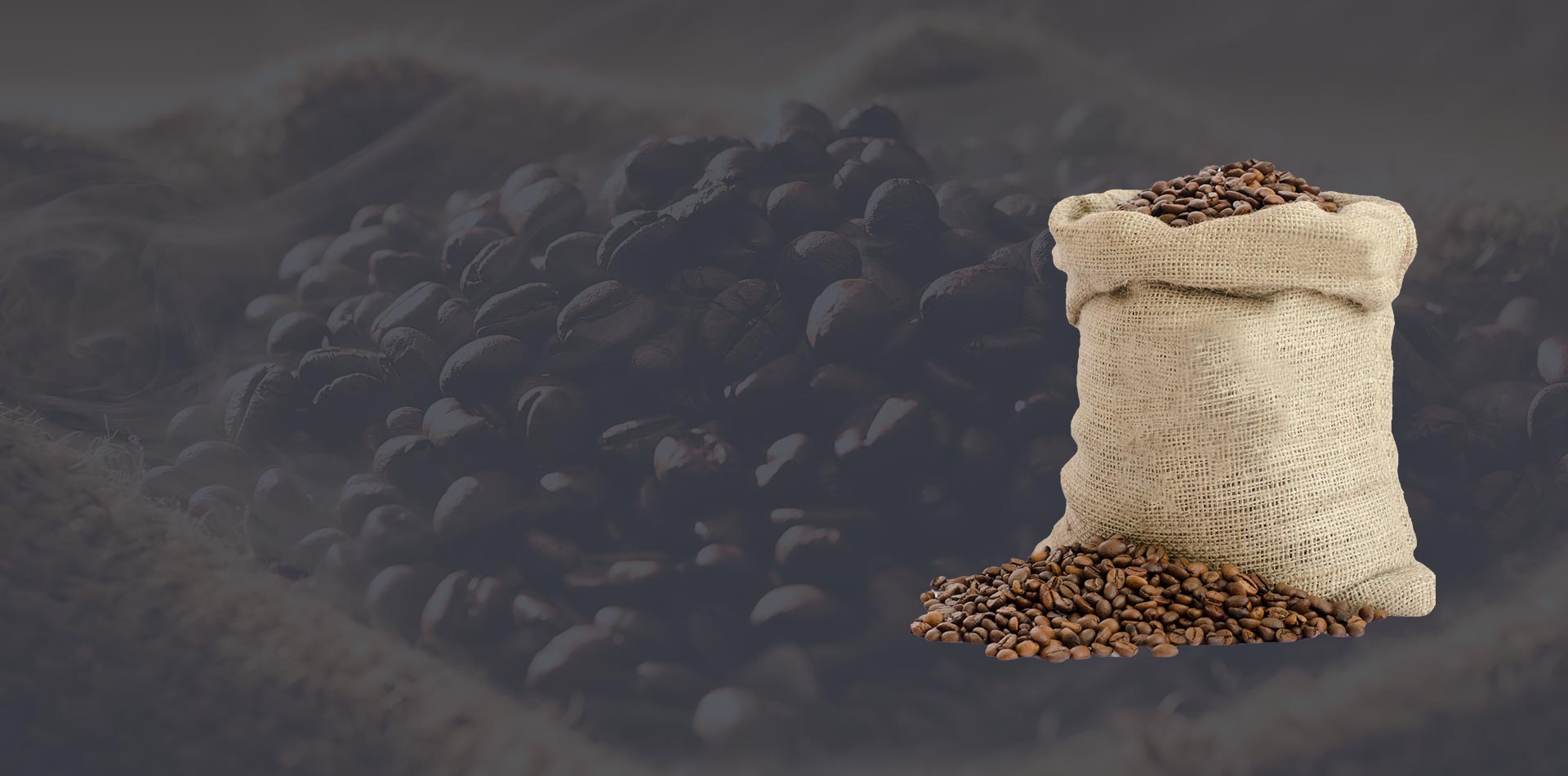 Great Coffee Farmers – "A heritage in our family, Great Coffee ...